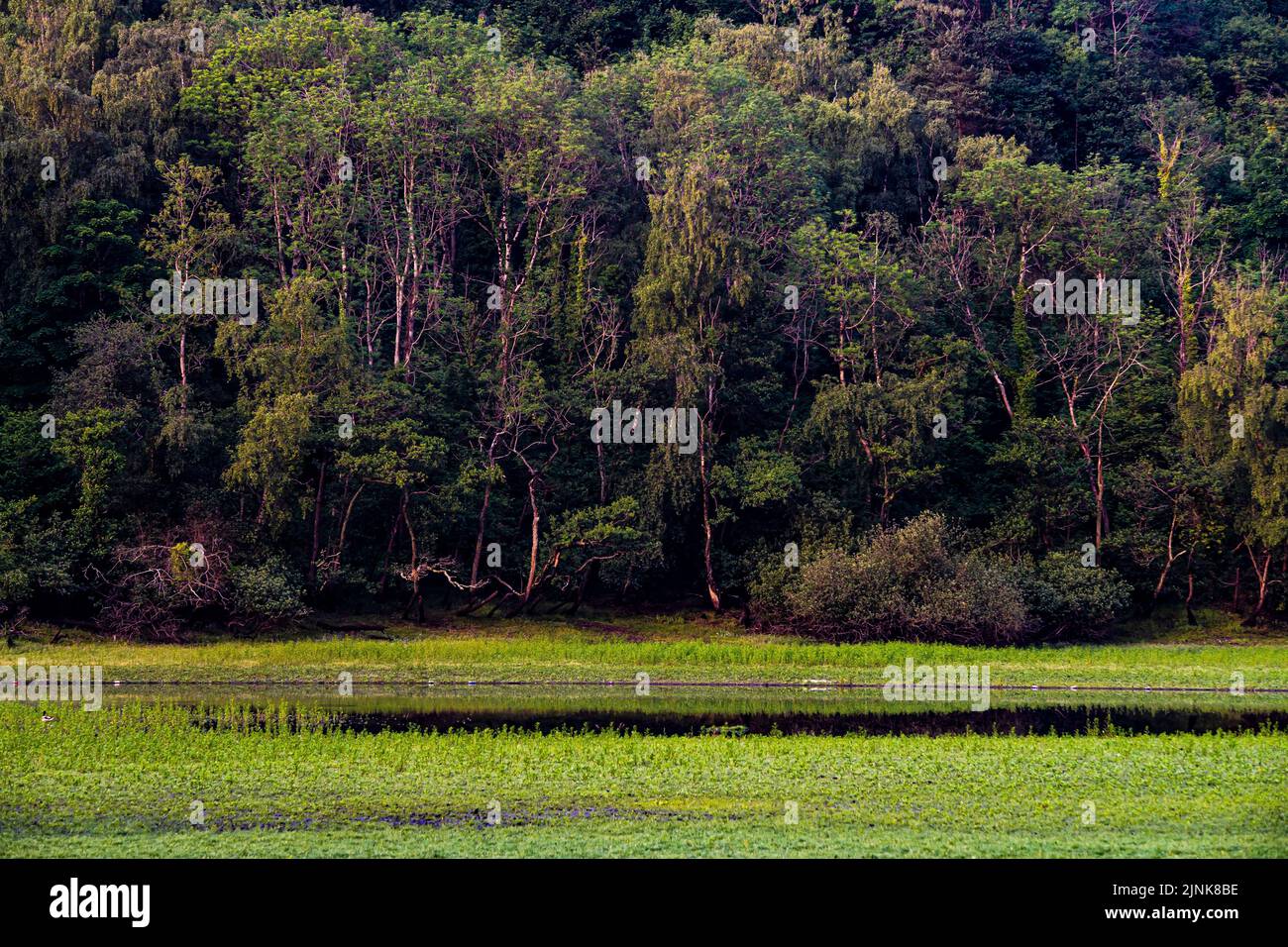The Bohernabreena Reservoirs in the evening Stock Photo - Alamy