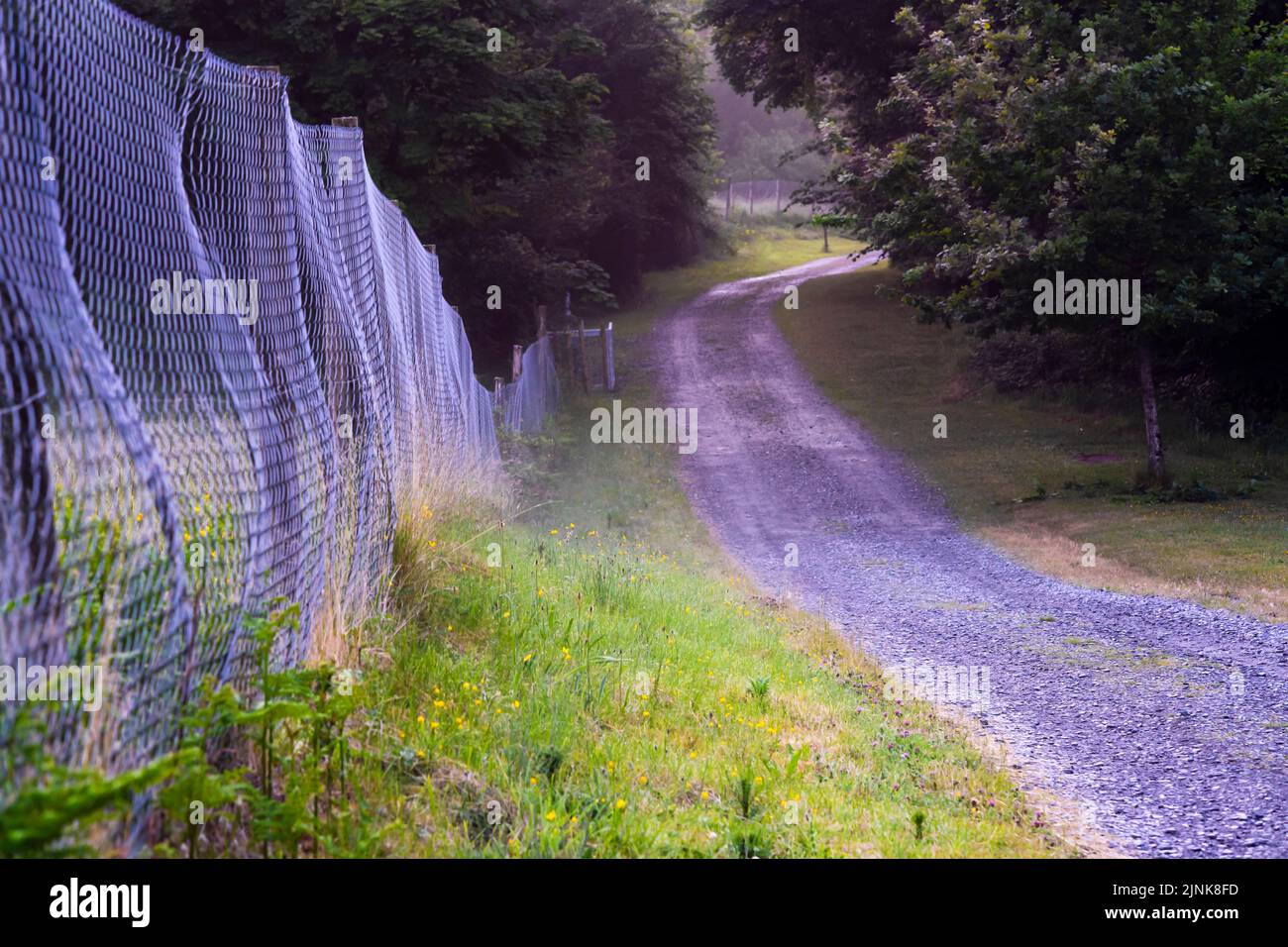 Quiet pathway in the River Dodder Valley Stock Photo - Alamy