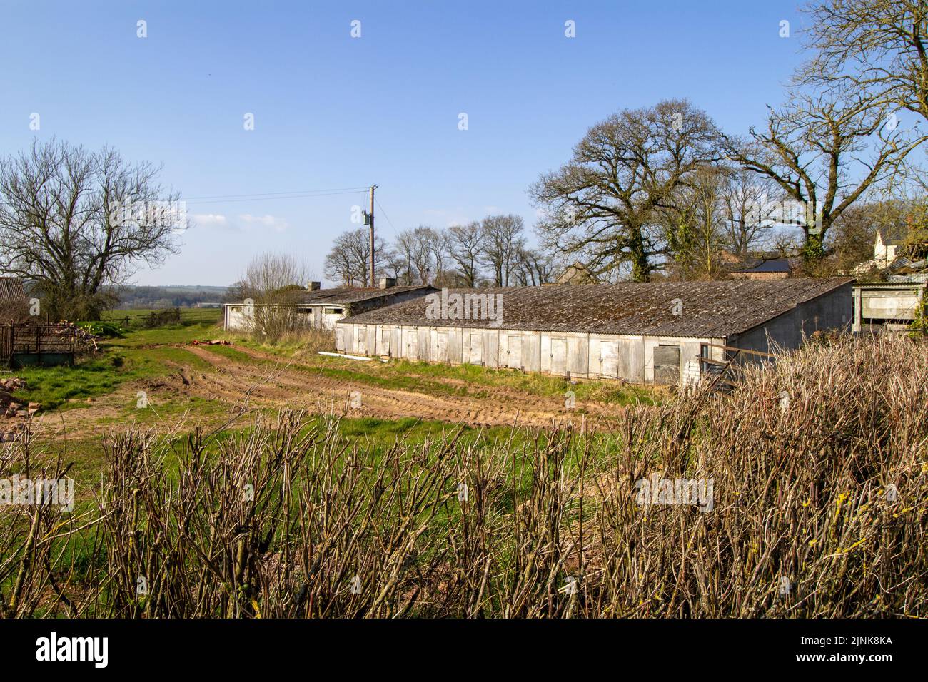 old derelict and unused Devon pig farm with muddy fields, leafless ...