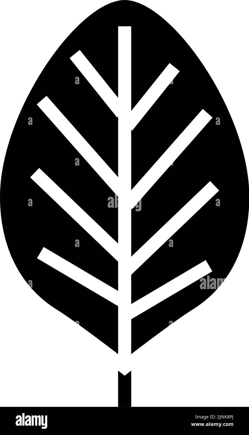 teak leaf glyph icon vector illustration Stock Vector Image & Art - Alamy