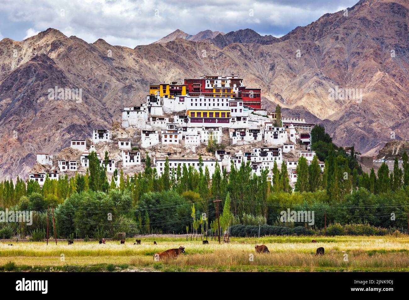 ladakh, thiksey, thiksey gompa, indus-tal, ladakhs Stock Photo - Alamy