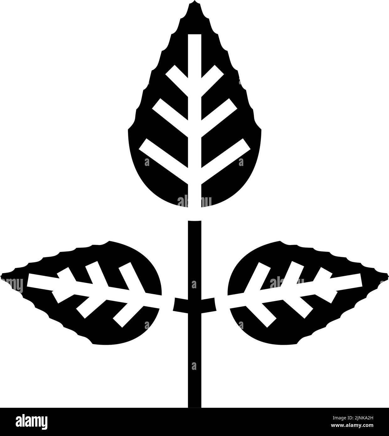 rose flower leaf glyph icon vector illustration Stock Vector Image ...