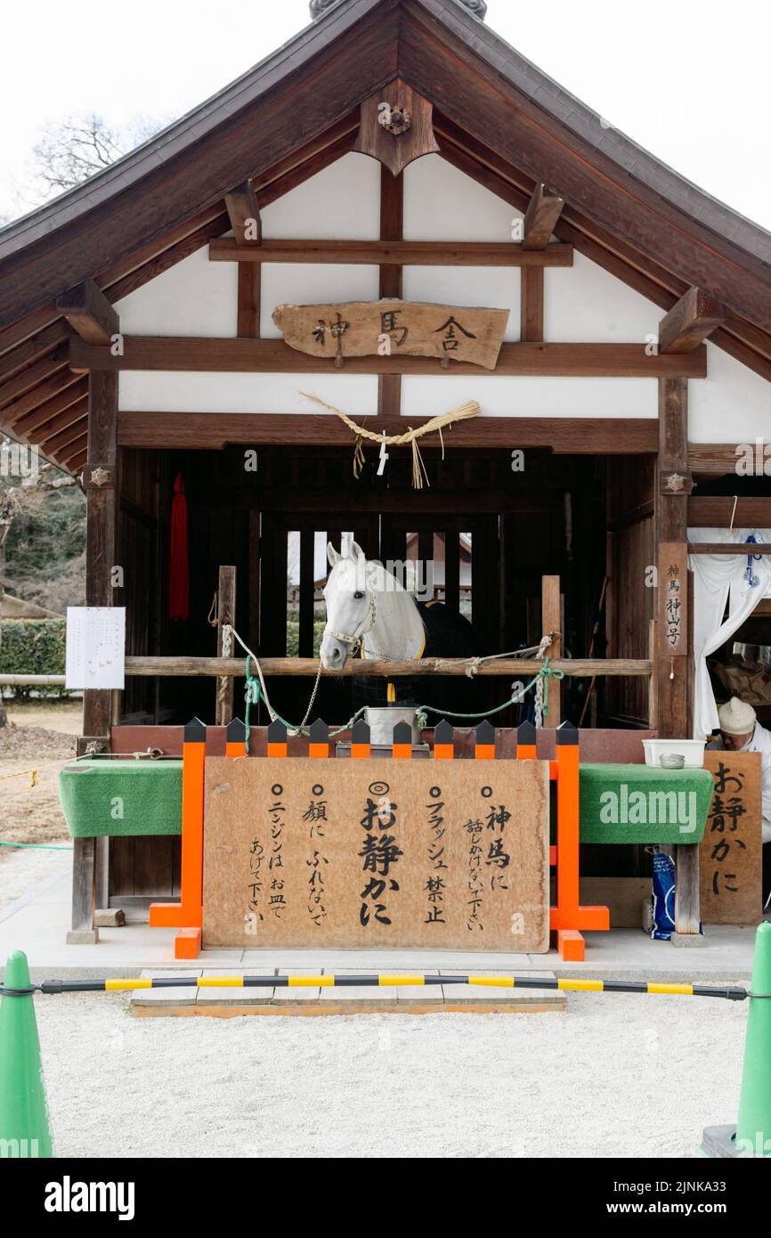 A traditional building at Kamigamo Jinja Shrine Stock Photo - Alamy