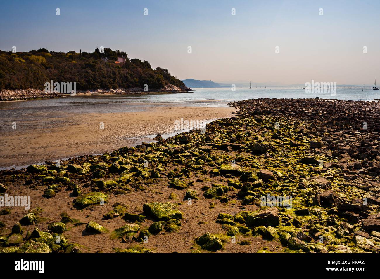 View of the mouth of the Timavo river, Italy Stock Photo - Alamy