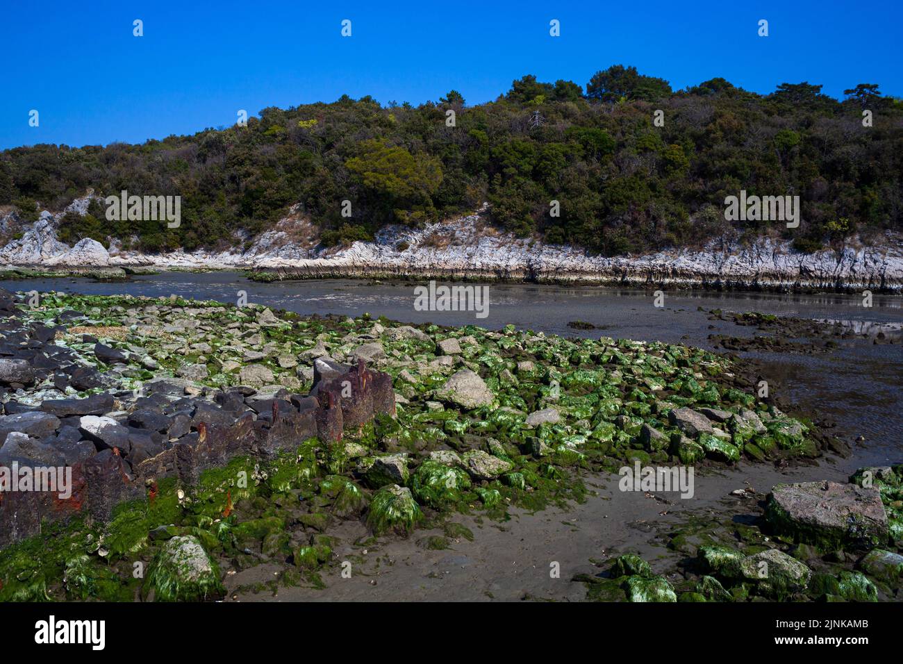 Timavo river hi-res stock photography and images - Alamy