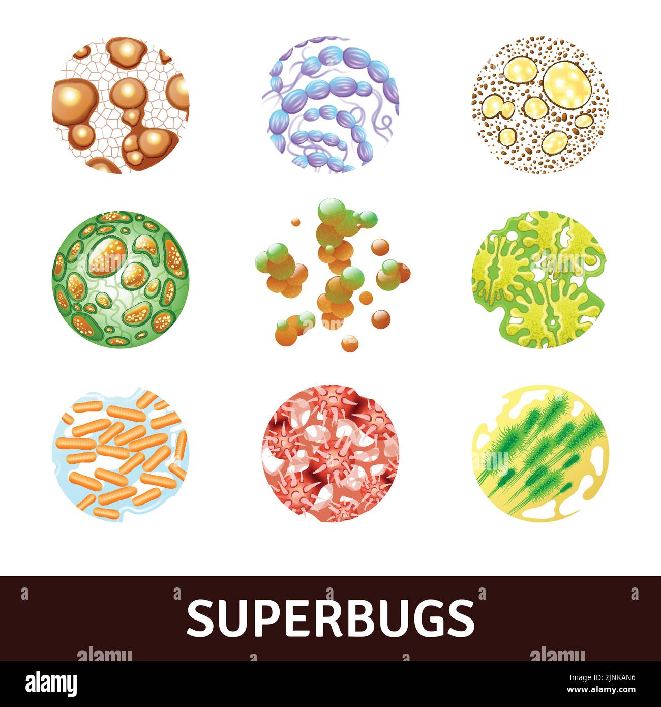 Round superbugs realistic set with various bacteria and microbes ...