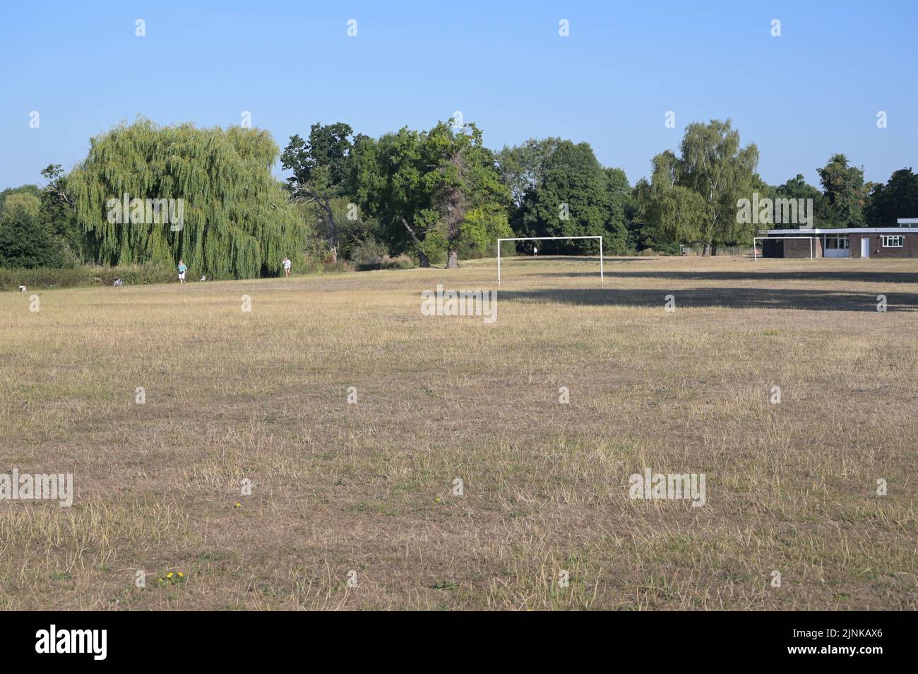 A scorched playing field during the drought of August 2022 in Horley ...