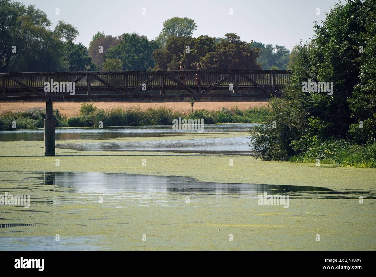 Covered in algae hi-res stock photography and images - Alamy