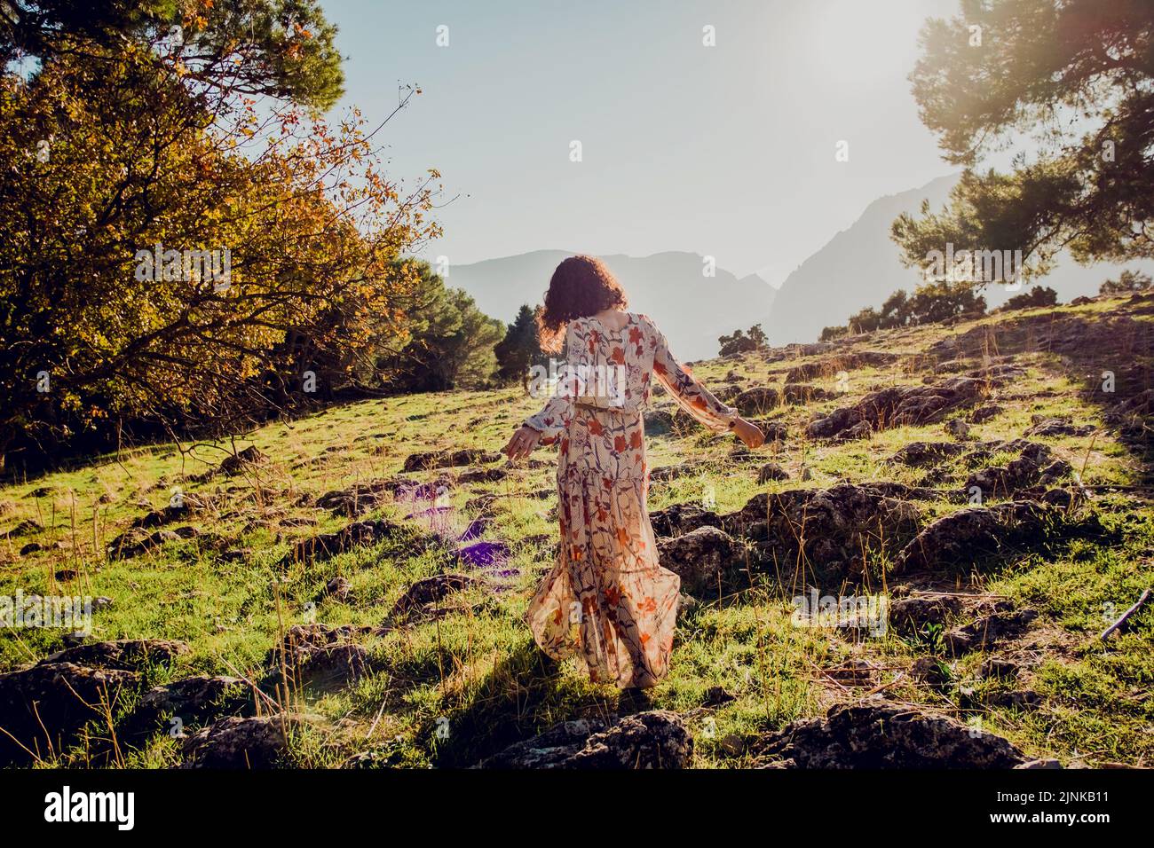 Woman sundress rear view hi-res stock photography and images - Alamy