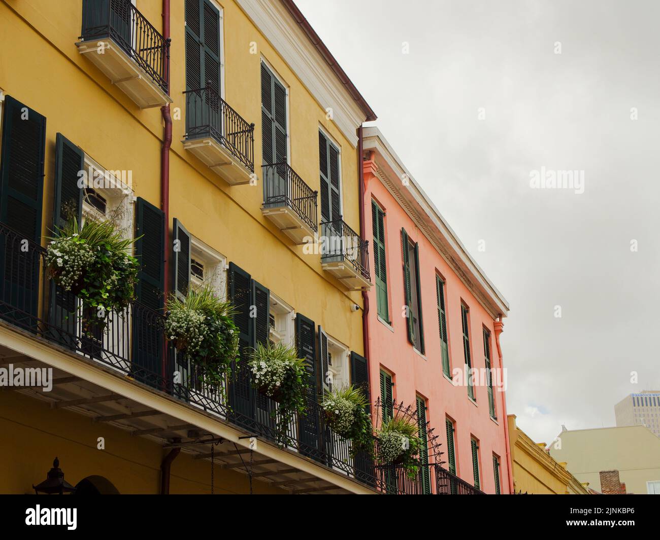 A beautiful shot of painted buildings with plants in the French Quarter ...