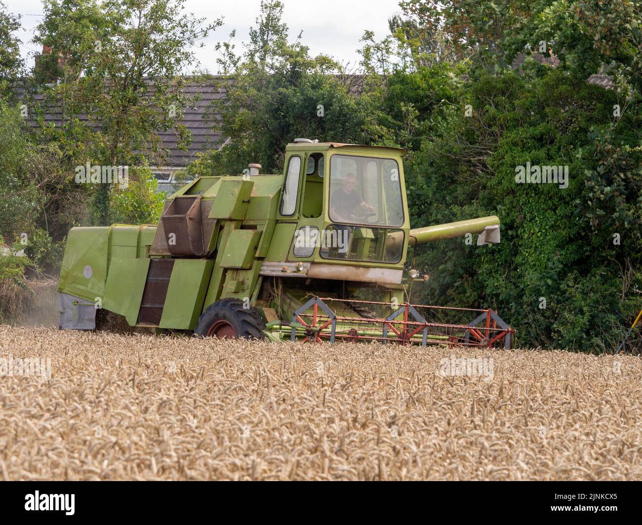 Pickmere Cheshire, August 4th 2022. Farmer taking advantage of the very ...