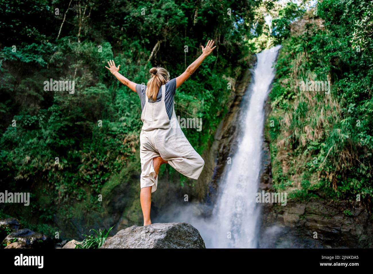 waterfall, freedom, nature, cascade, waterfalls, freedoms, natur ...