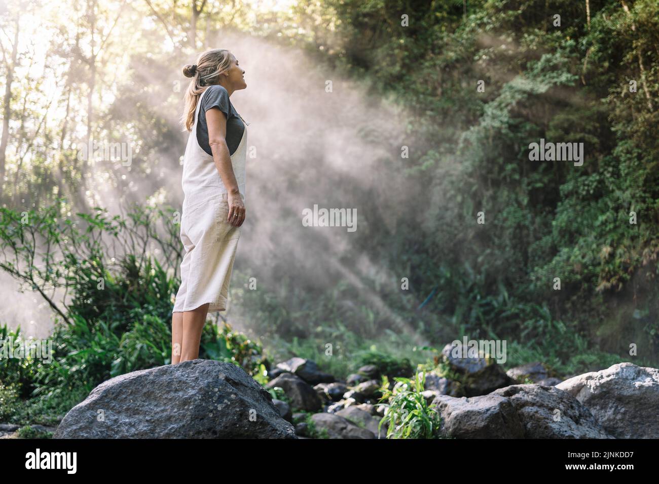 young woman, jungle, nature, mindfulness, girl, girls, woman, young ...