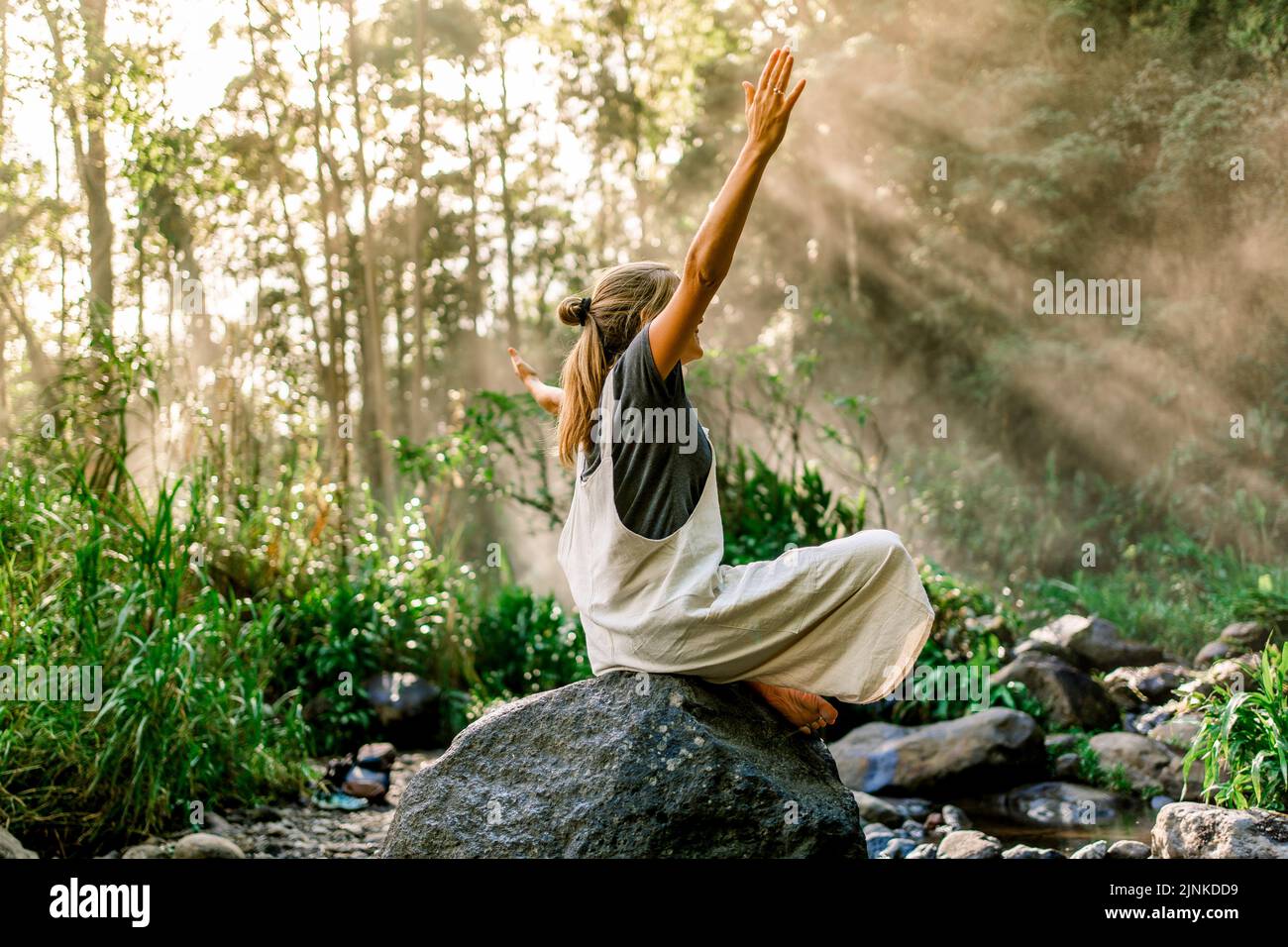 freedom, adventure, rainforest, freedoms, adventures, jungle ...