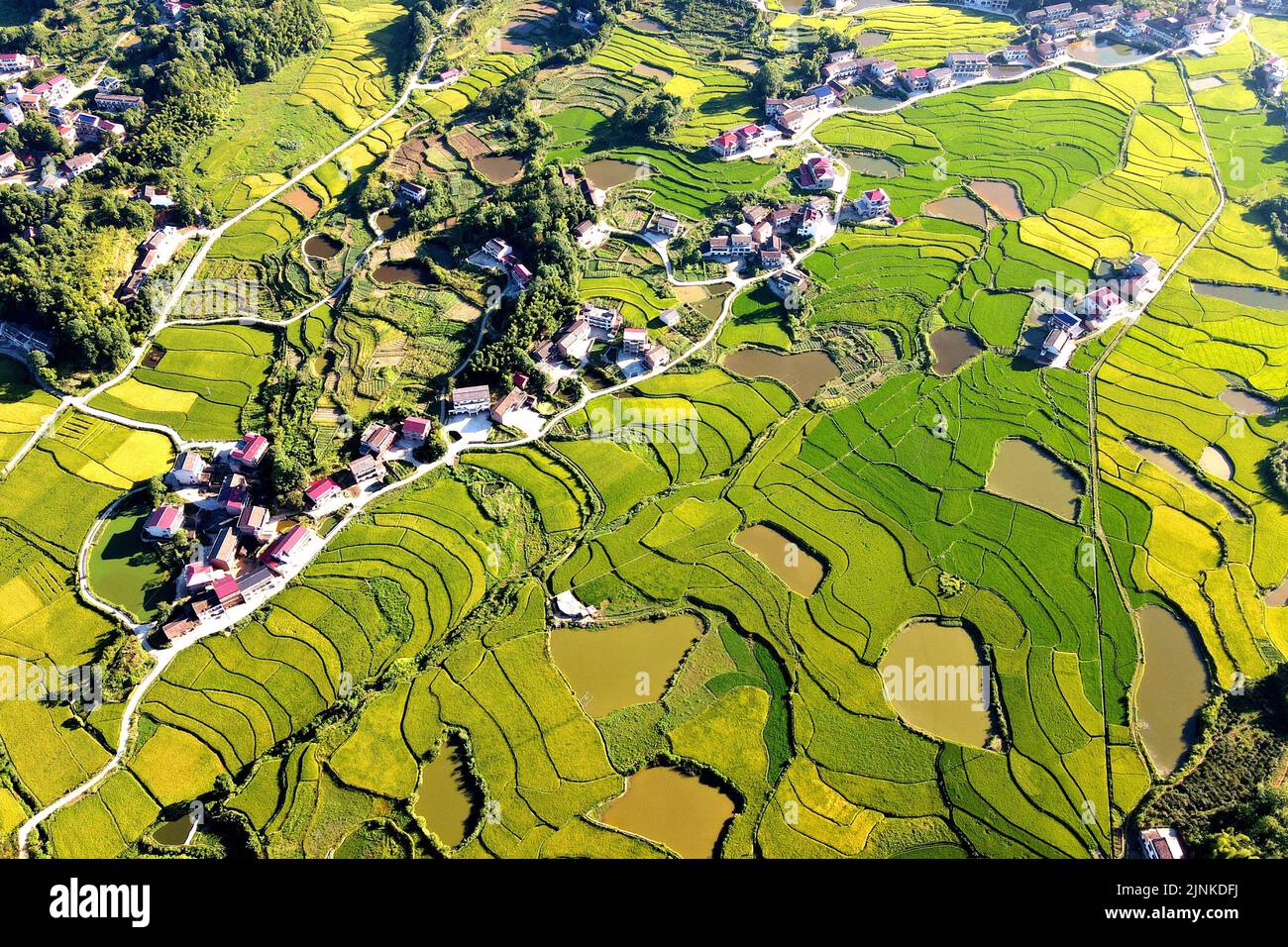 Li jianxin hi-res stock photography and images - Alamy