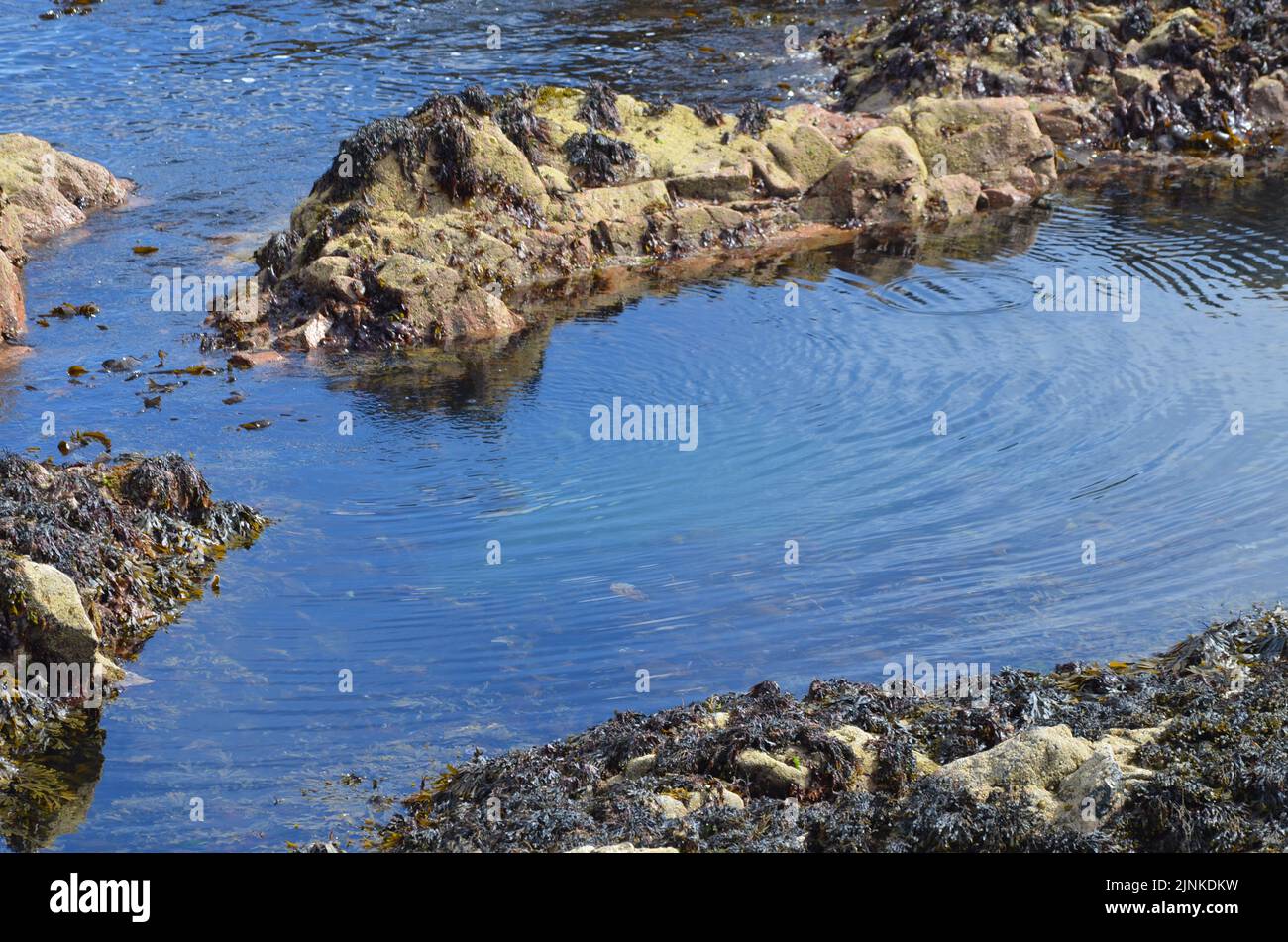 Tidal pools in the rocky coast of Cove Bay, Aberdeen, Scotland Stock ...