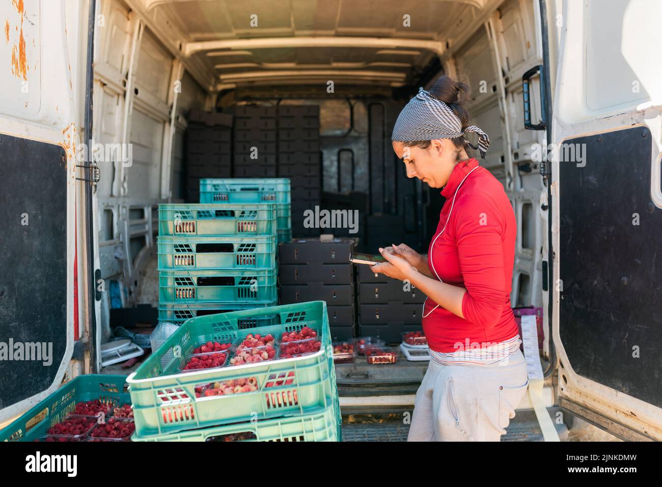 transportation, invite, harvest helpers, himbeerplantage, transport ...