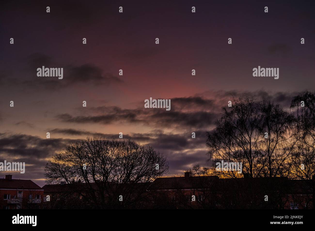 A low angle shot of a sunset sky over park with tree silhouettes Stock ...