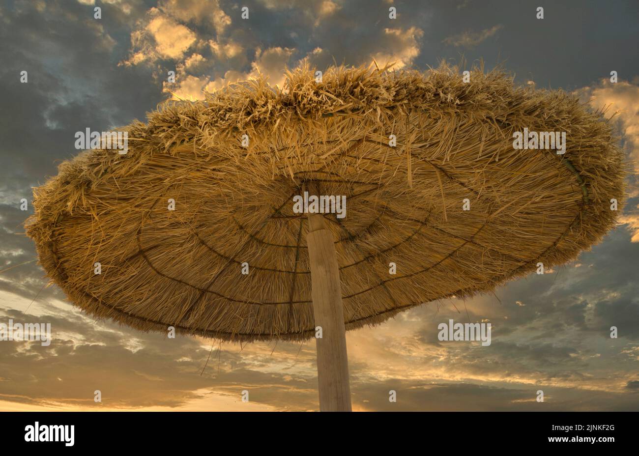 A low angle shot of a straw beach umbrella Stock Photo - Alamy