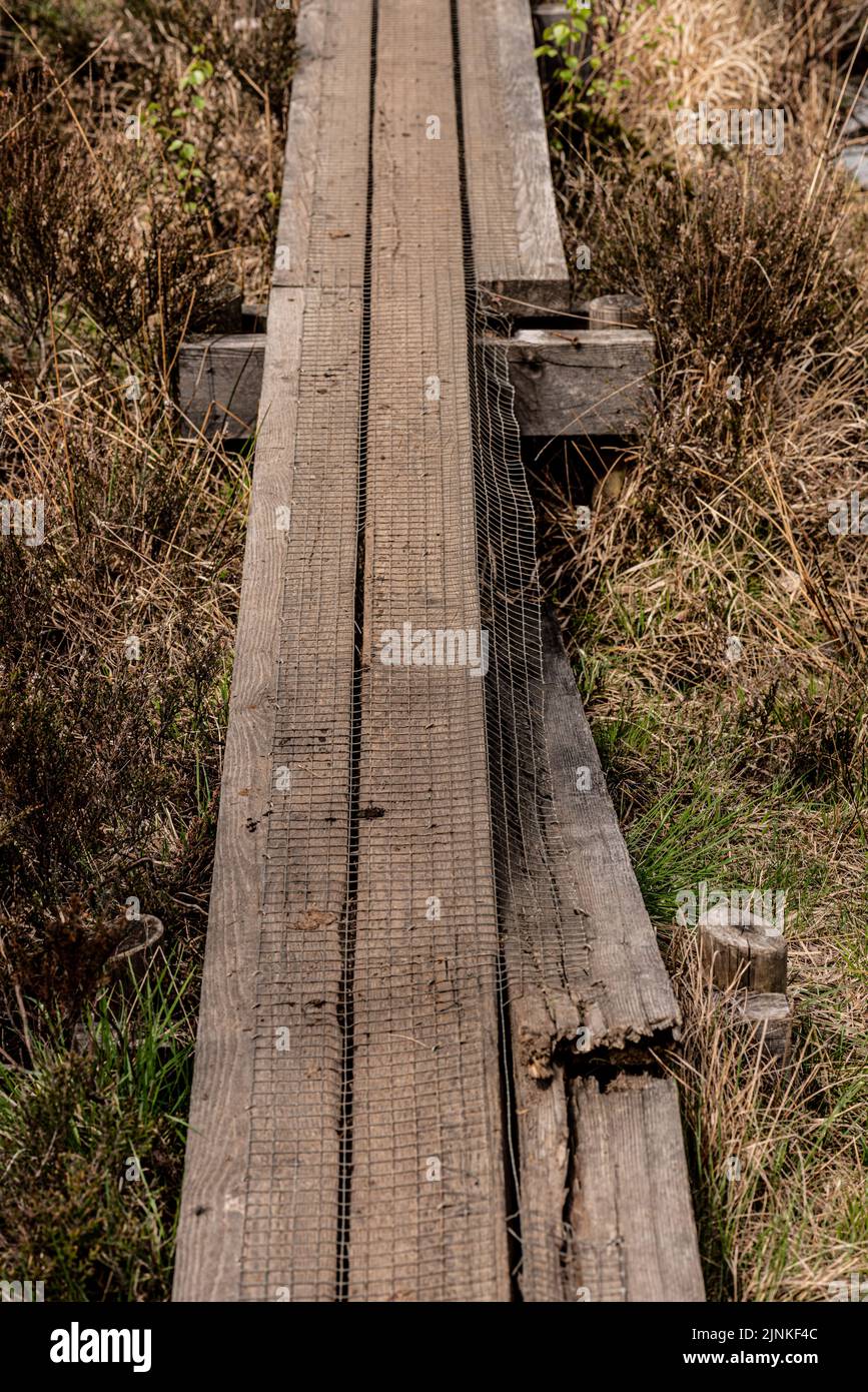 Broken plank in a wooden boardwalk Stock Photo - Alamy