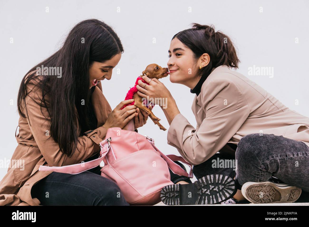 friends, puppy, animal loving, cuddling, friend, puppies, embracing ...