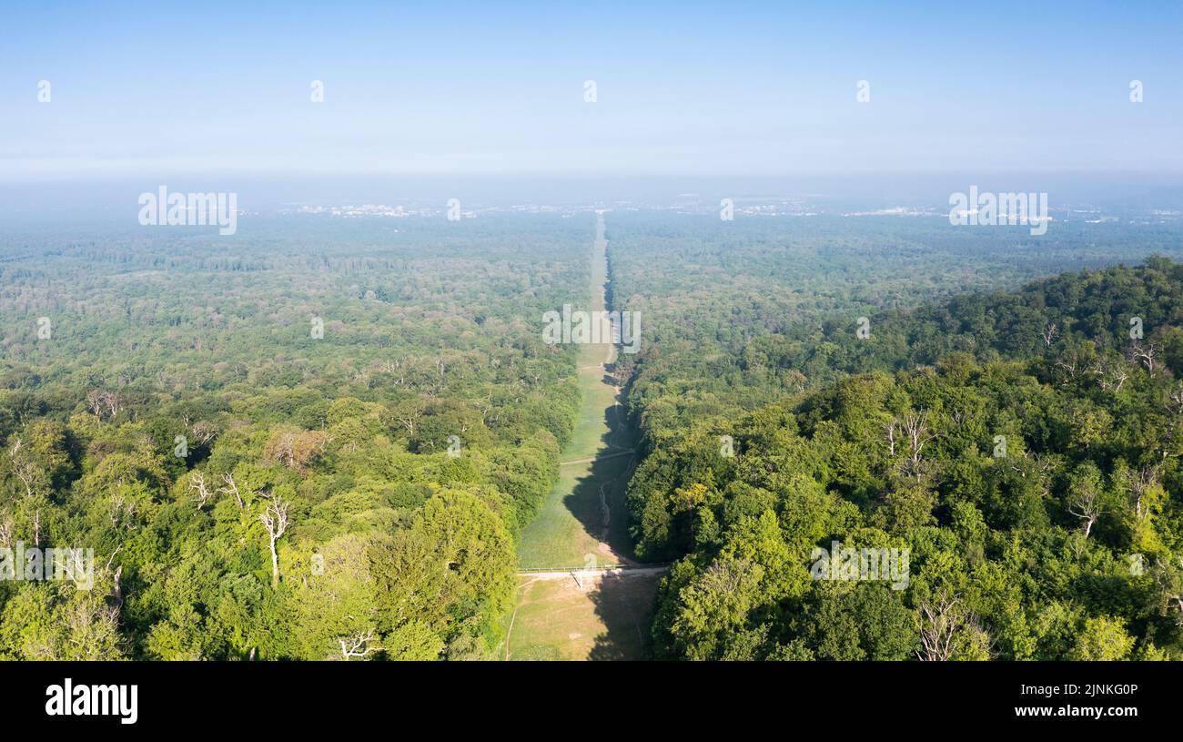 France, Oise, Picardie, Compiegne, Compiegne forest, Beaux Monts alley ...