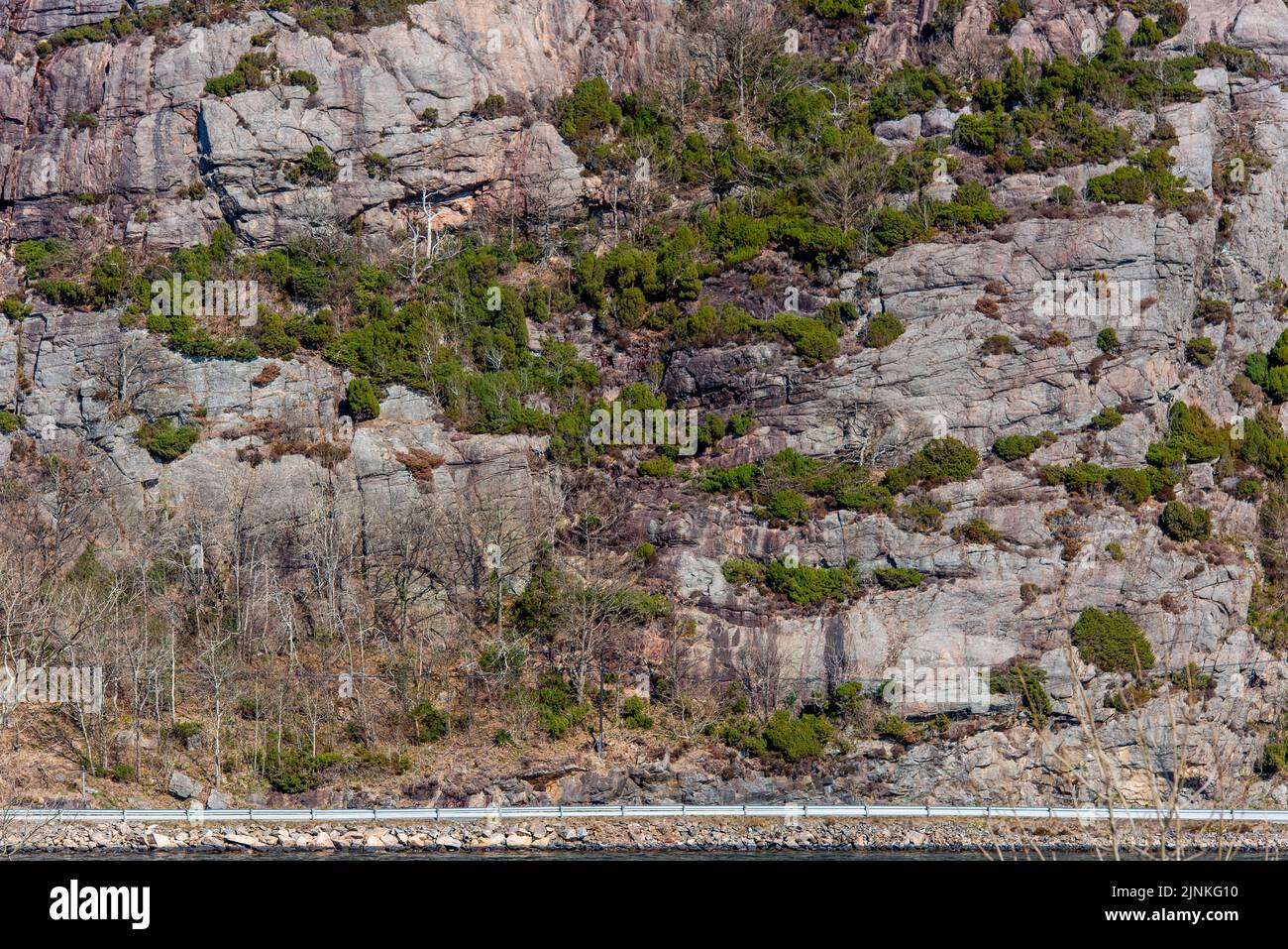 A textured cliffside with growing green bushes Stock Photo - Alamy