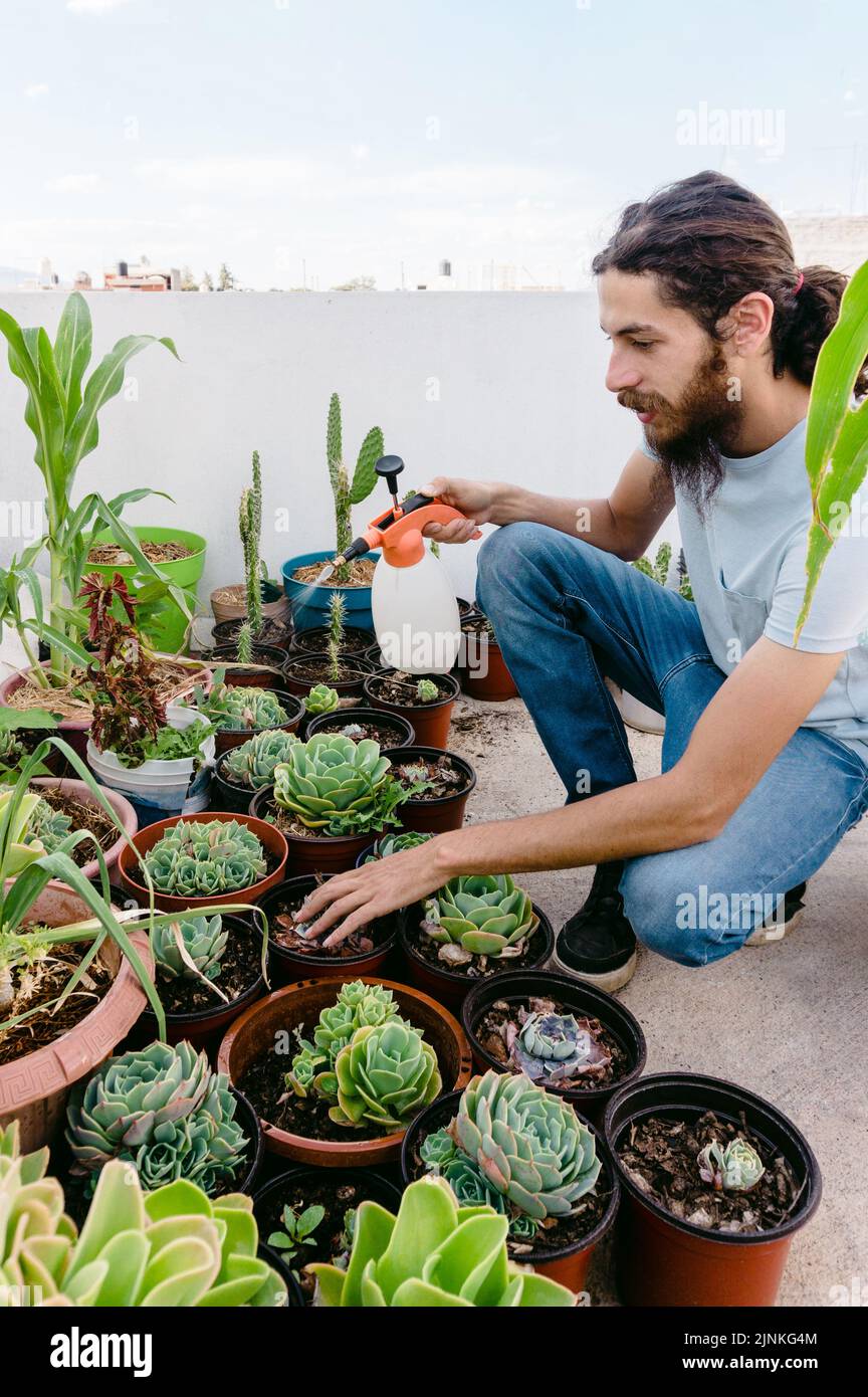 gardening, hobbies, roof garden, urban gardening, plant care, tending ...