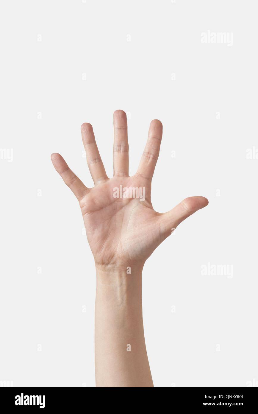 five, gestures, open palm, gesturing, nonverbale kommunikation, fives ...