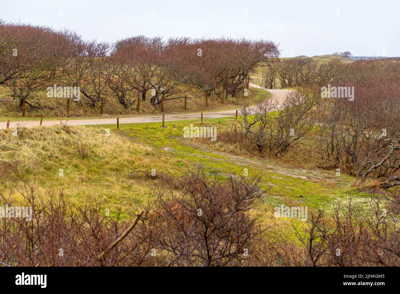 coastline, walcheren, coastlines, walcherens Stock Photo - Alamy