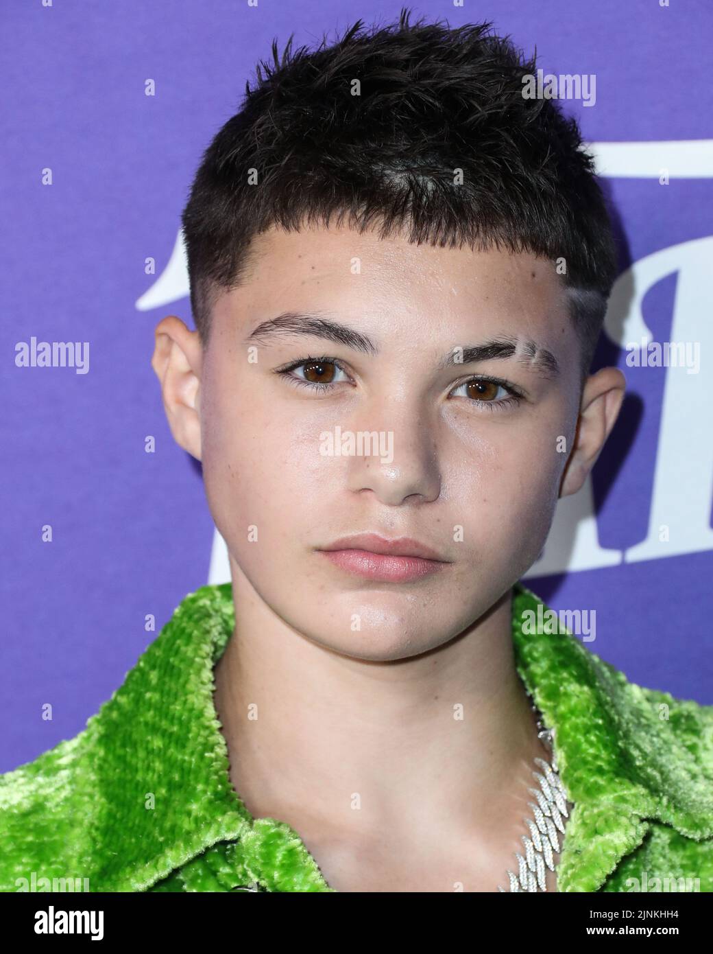 HOLLYWOOD, LOS ANGELES, CALIFORNIA, USA - AUGUST 11: American actor ...