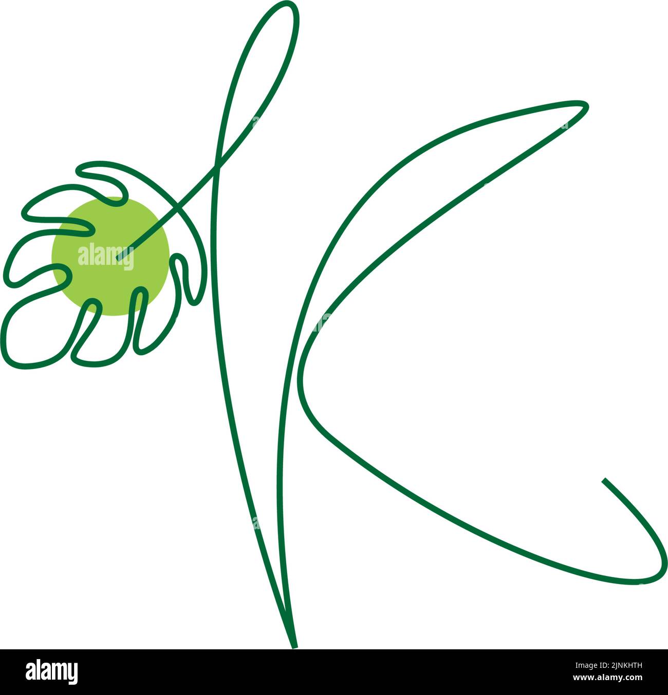 Monstera ornamental plant themed letters Stock Vector Image & Art - Alamy