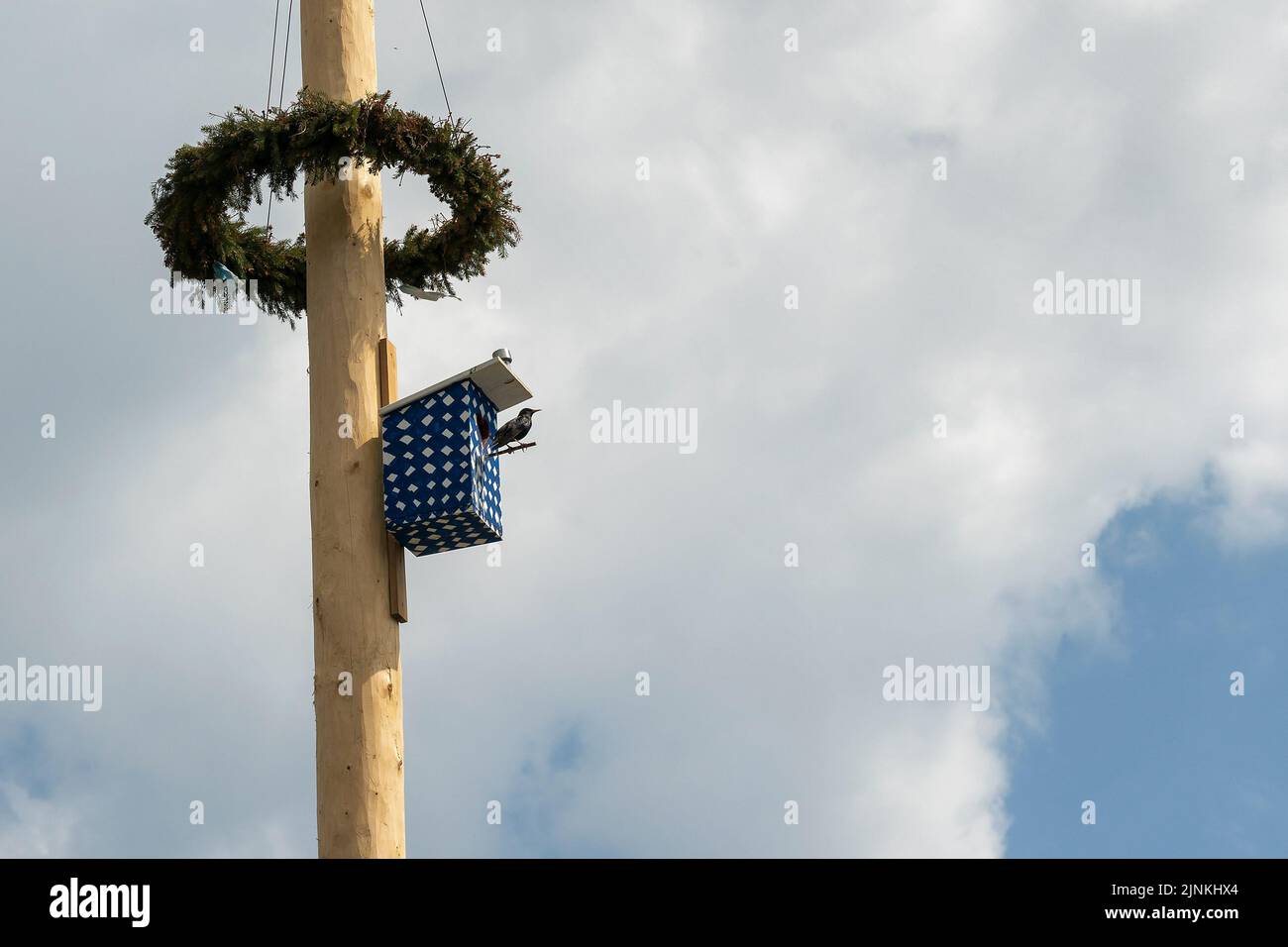 maypole, nesting box, starenkasten, maypoles, nesting boxs Stock Photo ...