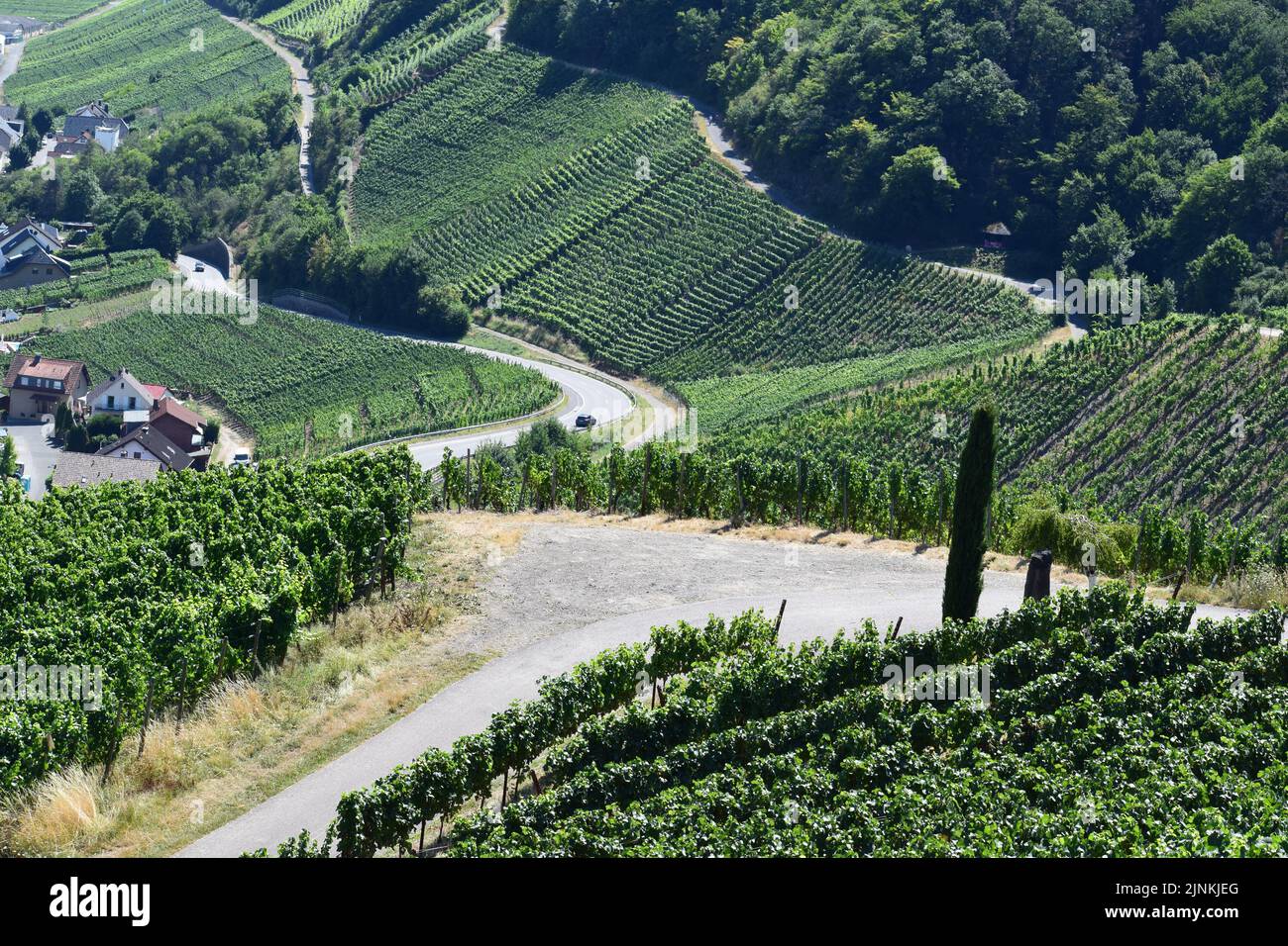 Ahr valley vineyards Stock Photo - Alamy