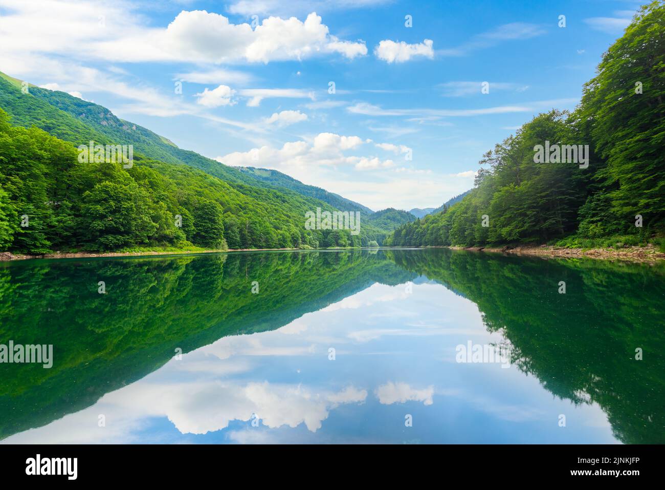 lake, nationalpark biogradska gora, lakes Stock Photo - Alamy