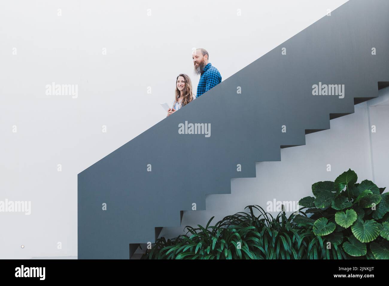 office, staircase, staff, colleagues, offices, staircases, stairs ...