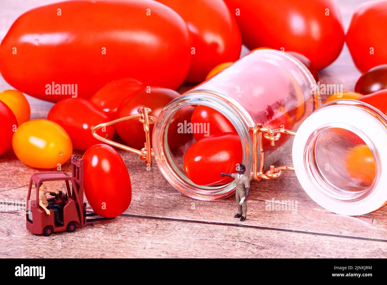 Miniature figure people loading fresh ripe tomatoes in to a glass jar ...