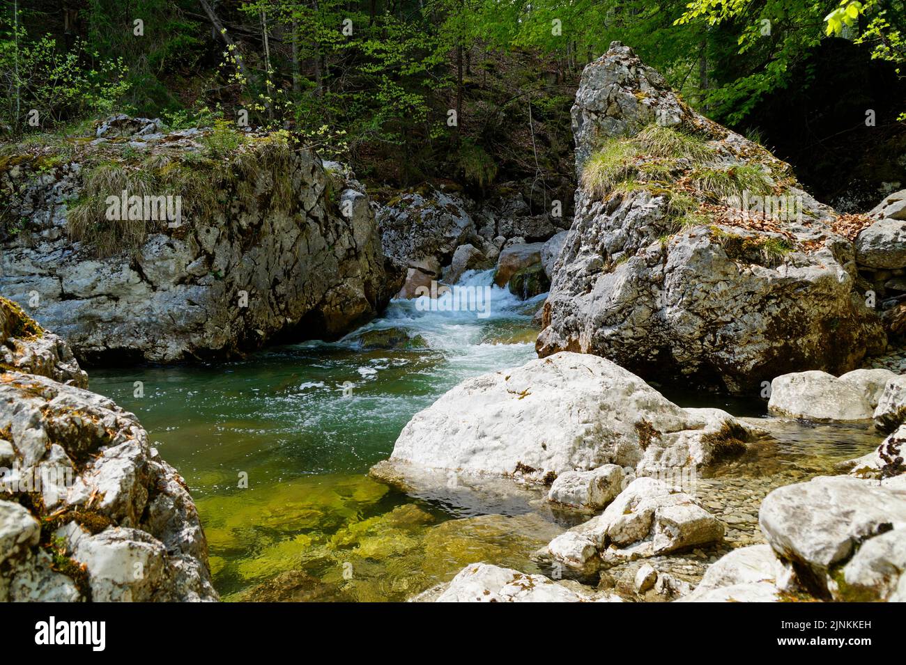 an emerald green brook (Steinacher Achen river) in Pfronten, Fallmühle ...