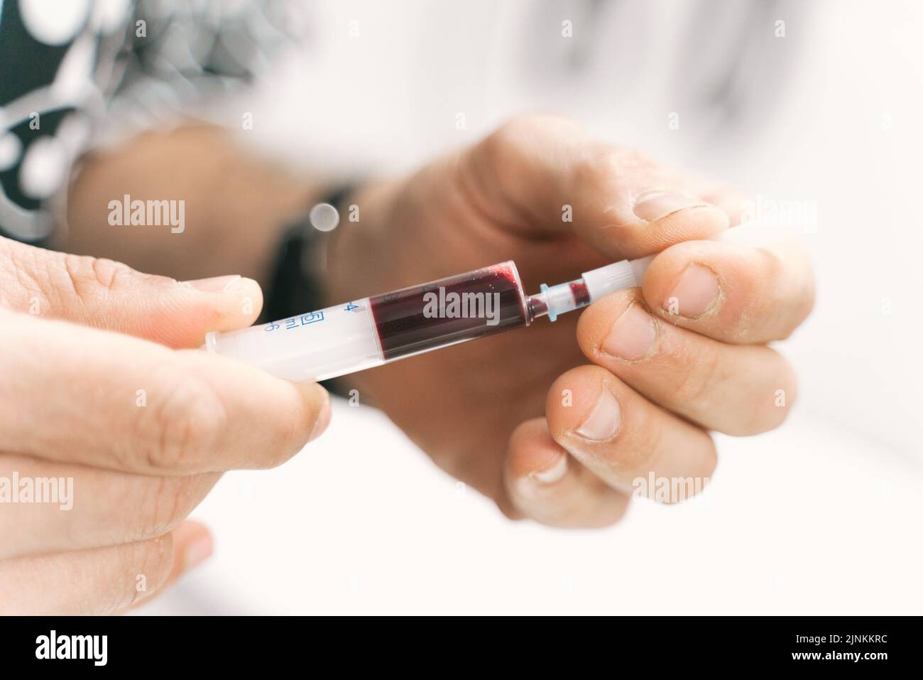 blood donation, blood sample, veterinary medicine, veterinarian, blood ...