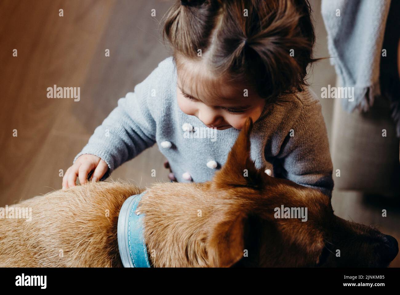 toddler, dog, stroking, infant, infants, toddlers, dogs Stock Photo - Alamy