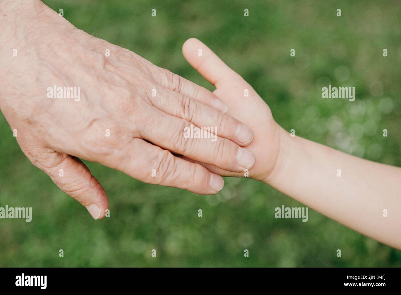 holding hands, care, together, bonding, generations, cares, togethers ...