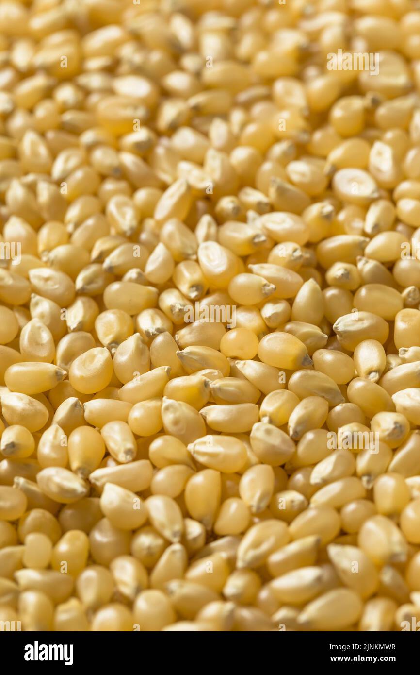 Dry Organic White Popcorn Kernels in a Bowl Stock Photo - Alamy