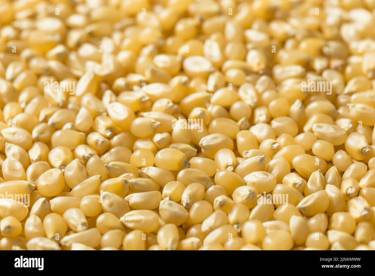 Dry Organic White Popcorn Kernels in a Bowl Stock Photo - Alamy