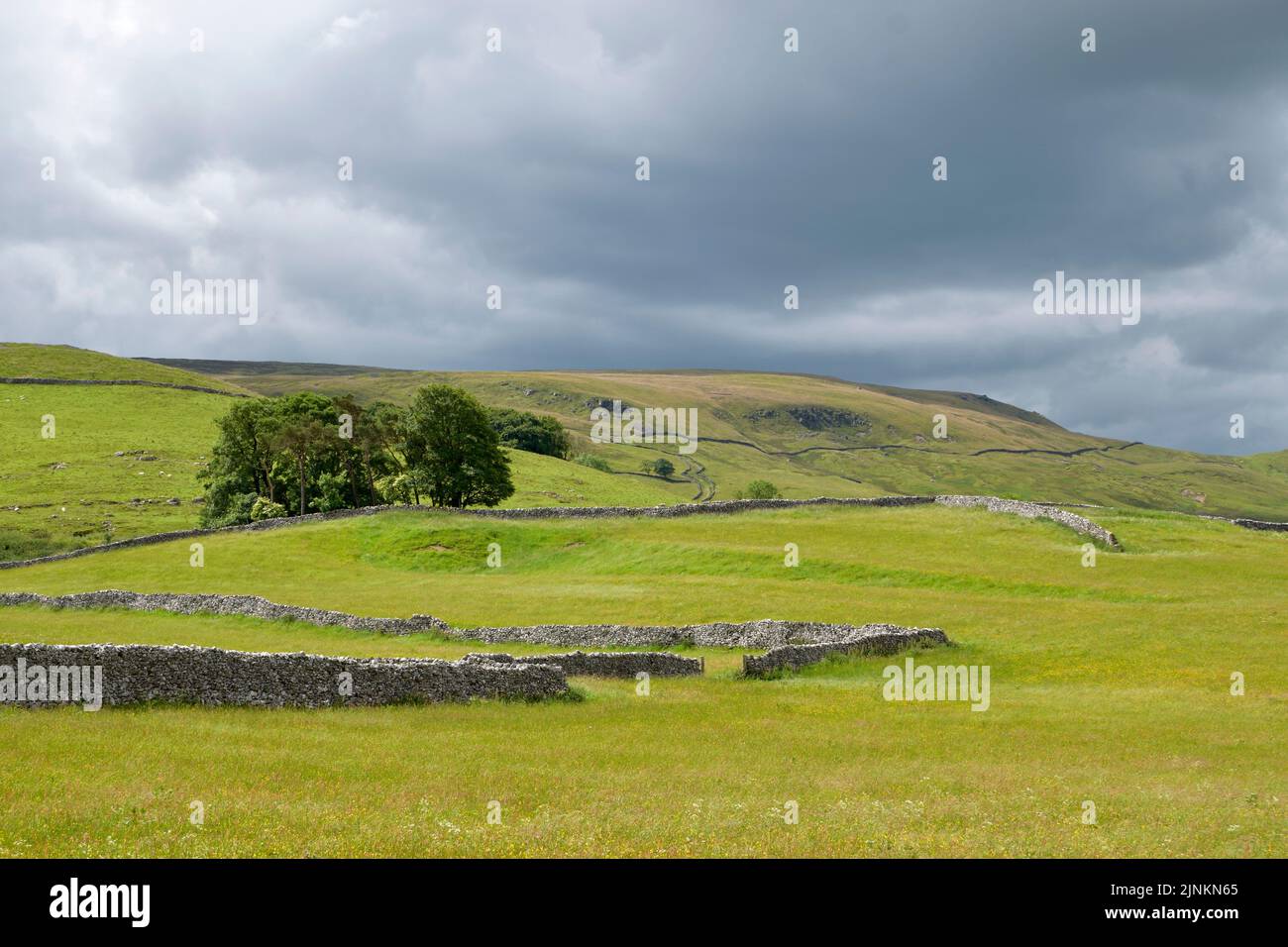 View of Thorpe Fell, Wharfedale, North Yorkshire Stock Photo - Alamy