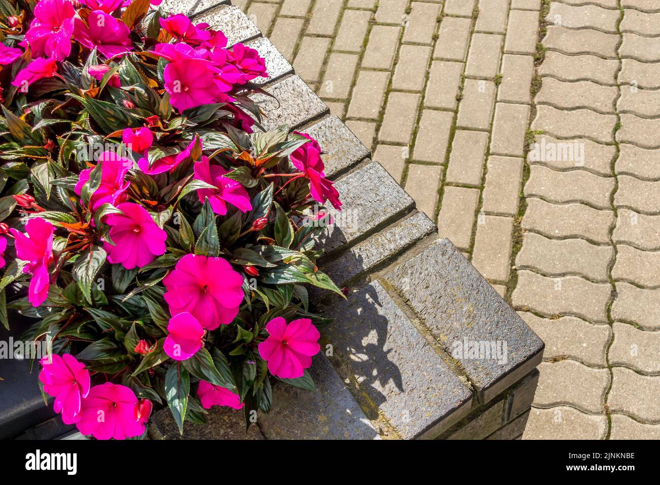 Modern design urban garden landscaping. Flower garden in high flower ...