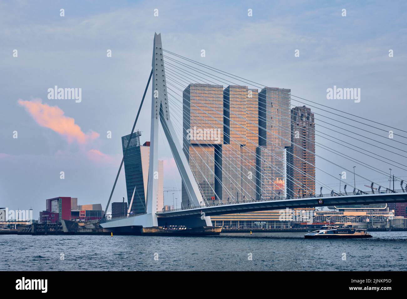 rotterdam, erasmus bridge, rotterdams, erasmus bridges Stock Photo - Alamy