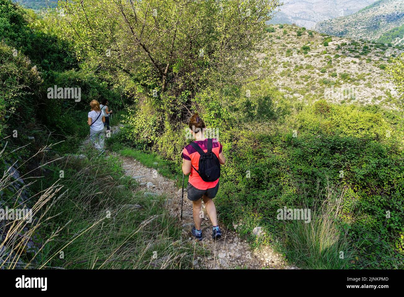 People hiking on the forest path in the mountain Stock Photo - Alamy