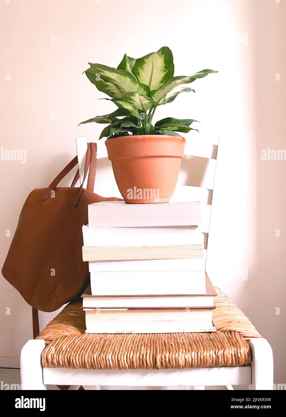 stack of books on chair with plant sitting on top Stock Photo - Alamy