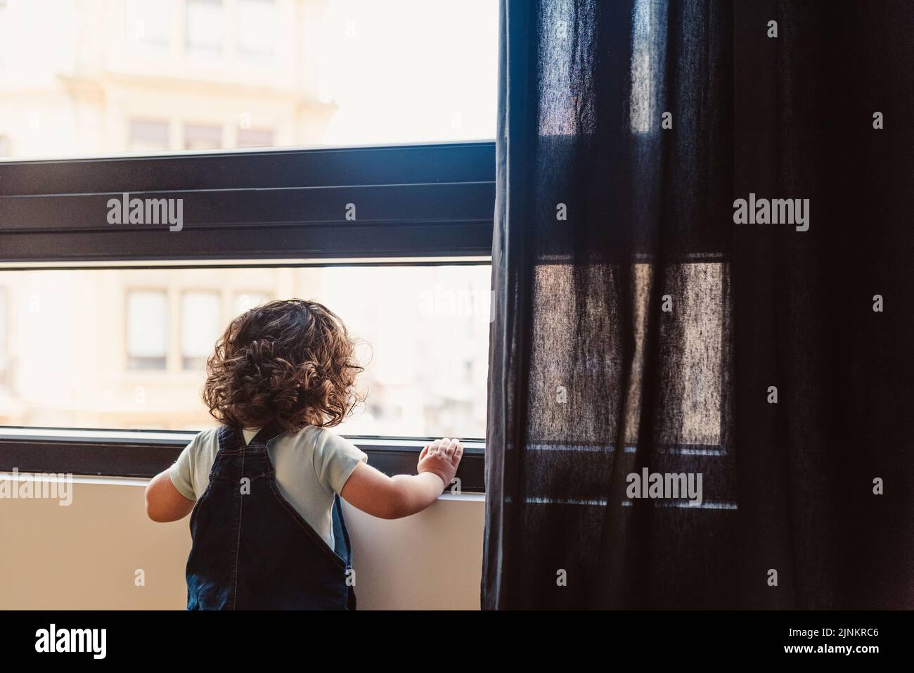 toddler, home, window, curious, childhood, infant, infants, toddlers ...