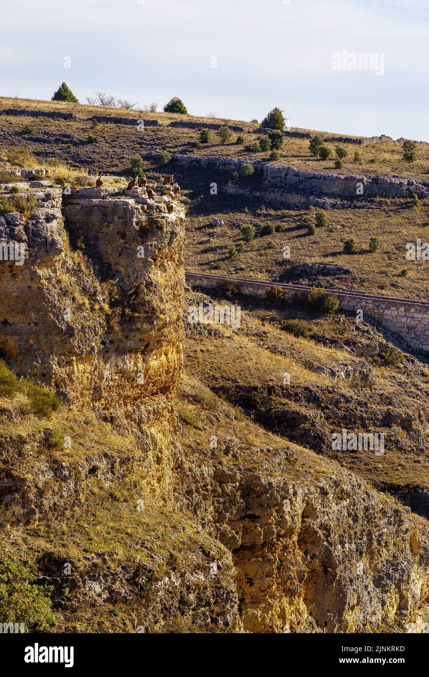 Ravine in the mountain with many vultures high up on the rocks Stock ...
